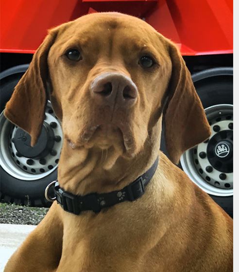 Meet Our team - Siloking Canada